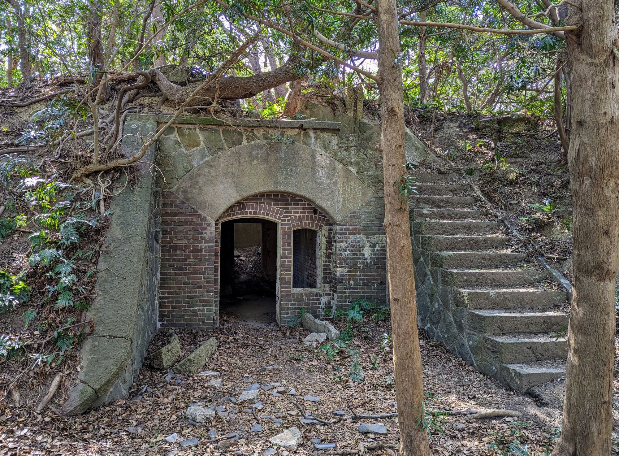 Tomogashima Island: the Day Trip You Haven't Heard of Yet - Planes ...