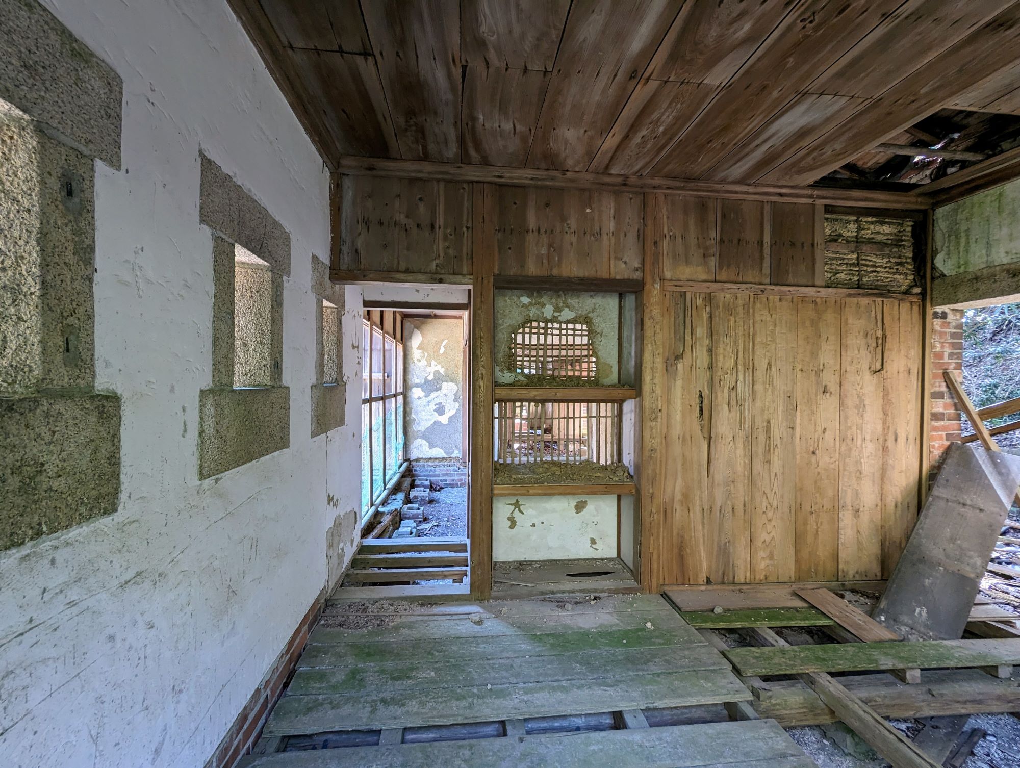 Tomogashima Island: the Day Trip You Haven't Heard of Yet - Planes ...